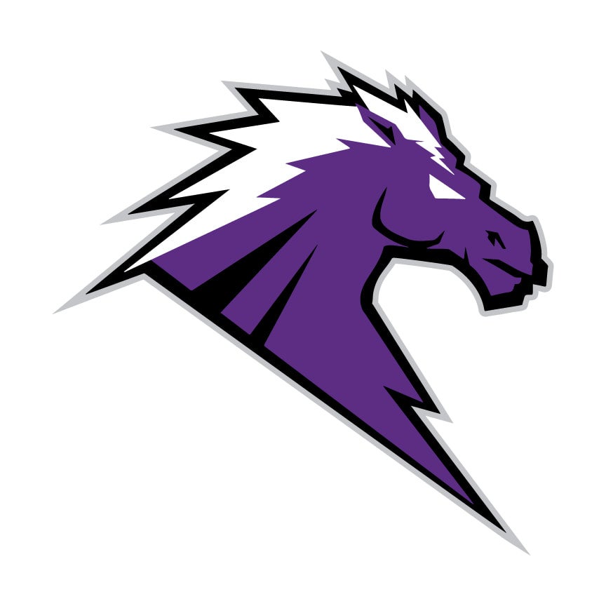 Charging Horse Logo